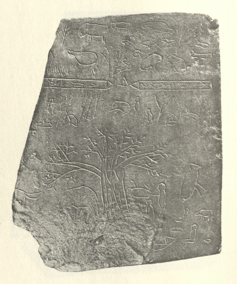 The Davenport Conspiracy | Primary Selections from Special Collections